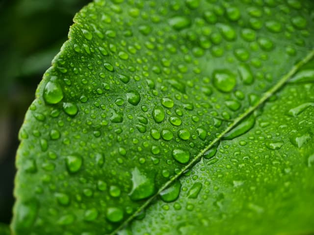 Free Images Collection - High-Quality Stock Photos | OpenSource Toolkit