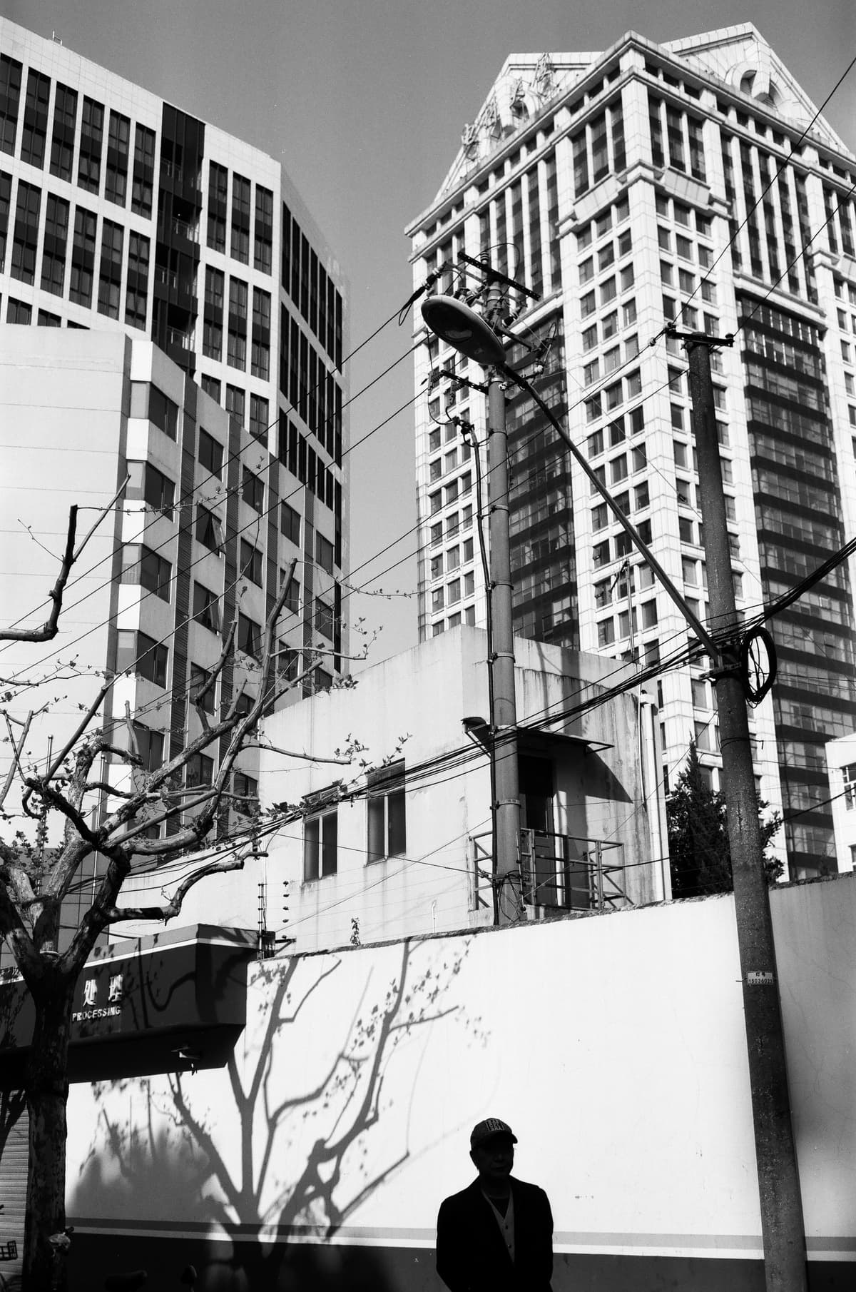 Free Images Collection - High-Quality Stock Photos | OpenSource Toolkit